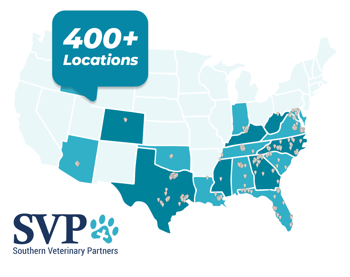 Veterinary Hospital Network Digital Marketing Case Study | Google Ads & PPC